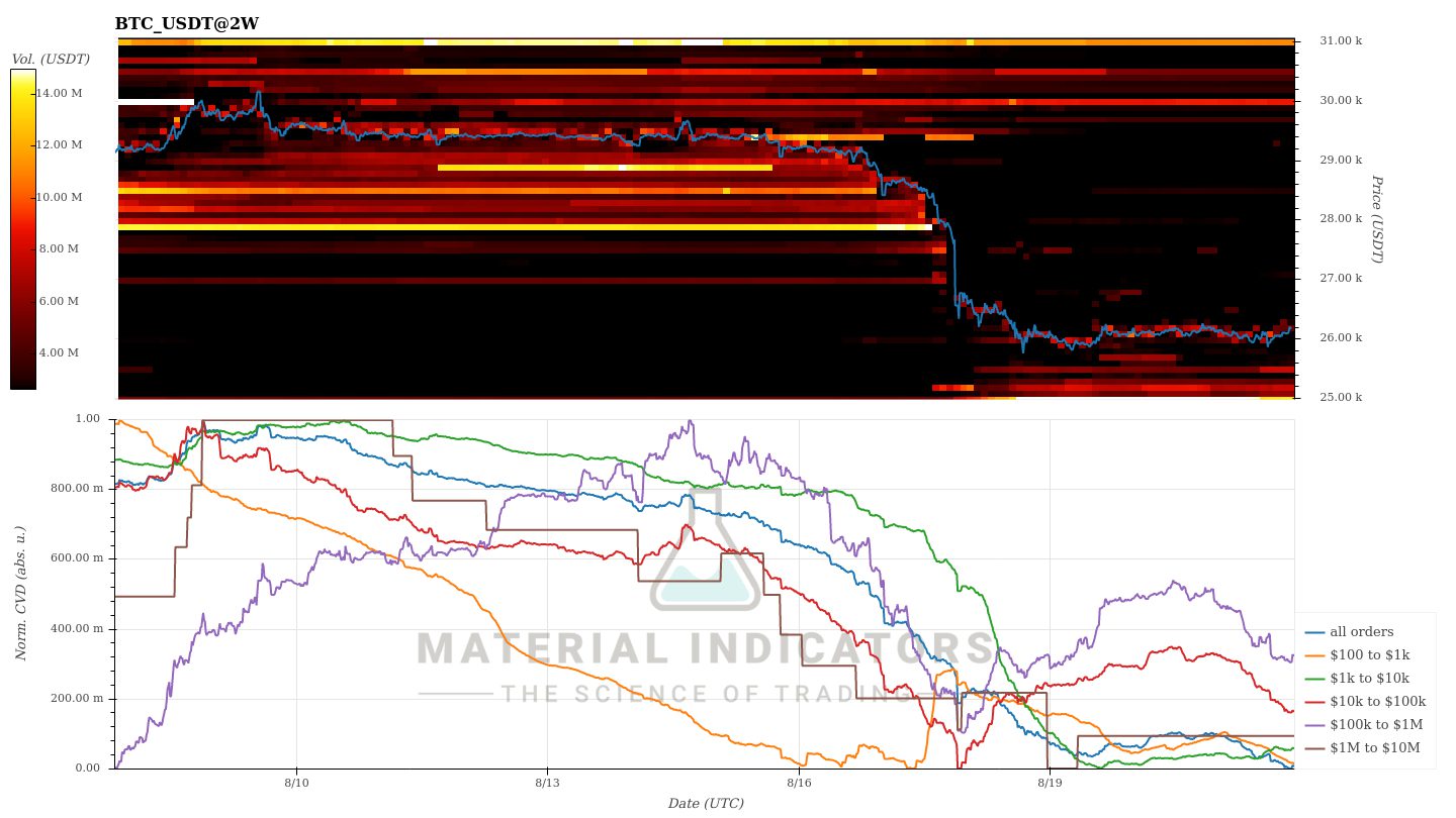 The Halving Cycle Is Not Priced In | Coinmotion